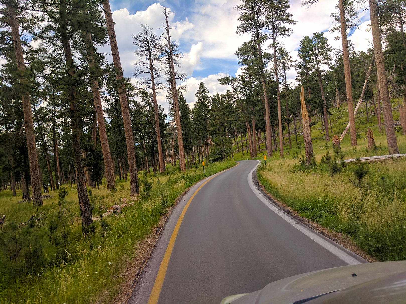 America’s Best Roads, As Driven By Us – Rogue Trip